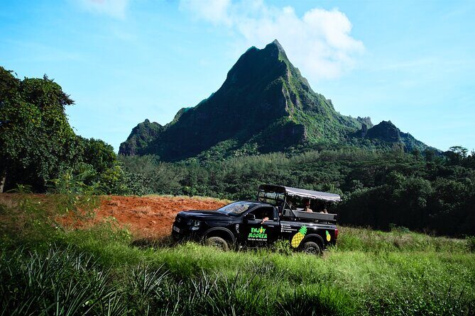 Enjoy Moorea Day Tour - What Travelers Are Saying