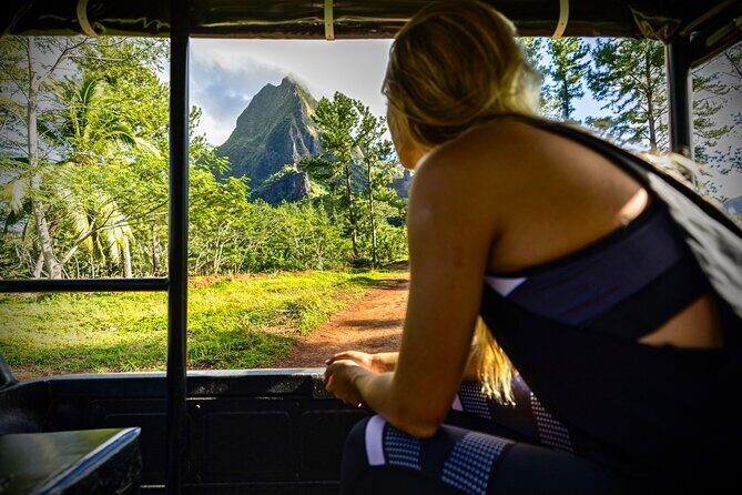 Enjoy Moorea Private day tour - Who Should Consider This Tour?