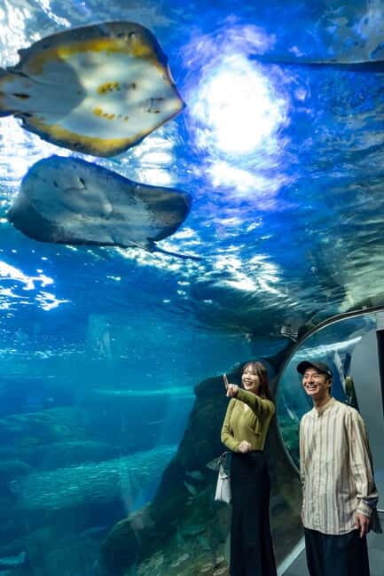 Enoshima Aquarium: Admission Ticket - The Sum Up: Who Should Visit Enoshima Aquarium?