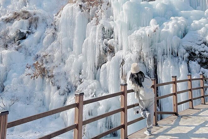 Eobi Ice Valley, Nami Island, Morning Calm and Rail Bike Seoul - Nami Island: A Slice of Korea’s Nature Paradise