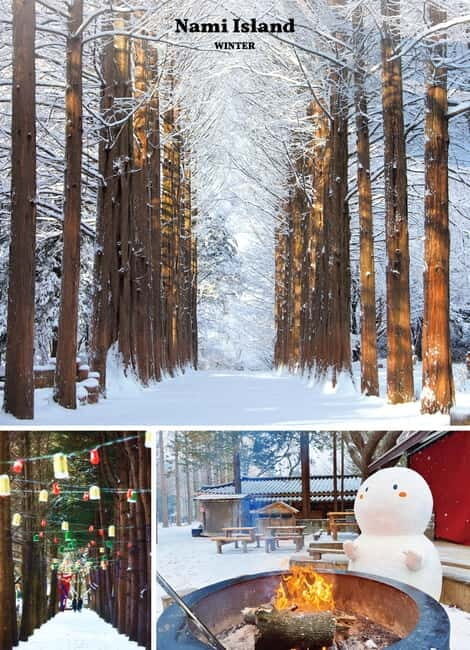 Eobi Ice Valley & Nami & Petite (+ Light Festival, Railbike) - A Detailed Look at the Tour