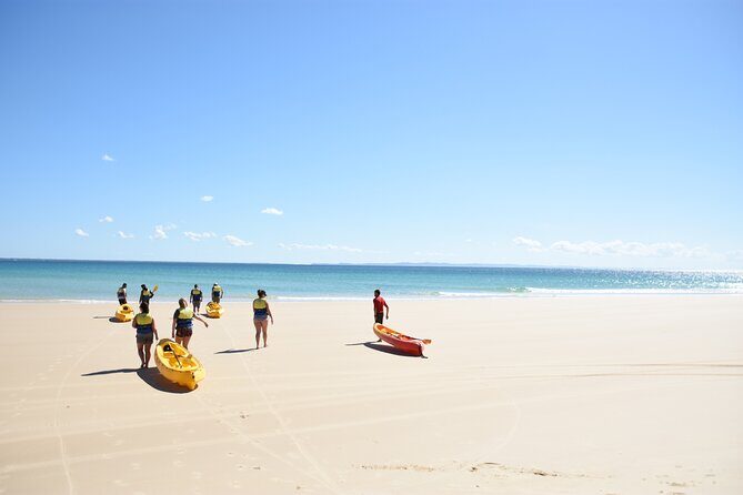 Epic Rainbow Beach Dolphin Kayak and 4WD Adventure Tour - The Equipment and Safety Measures