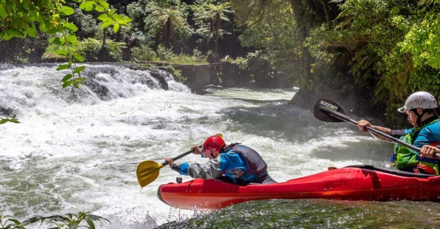Epic Tandem Kayak Tour down the Kaituna River Waterfalls - Final thoughts: Who is this tour perfect for?