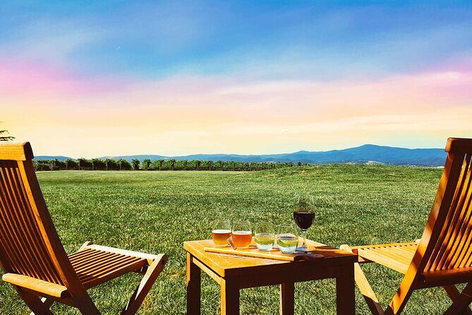 Epic Yarra Valley Wine Tour + Lunch, Chocolate & Gin/Beer Option - Who Is This Tour Best For?