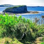 Erupting Blowholes and Ancient Rainforests SOUTH COAST OF SYDNEY PRIVATE TOUR - Who Is This Tour Best For?