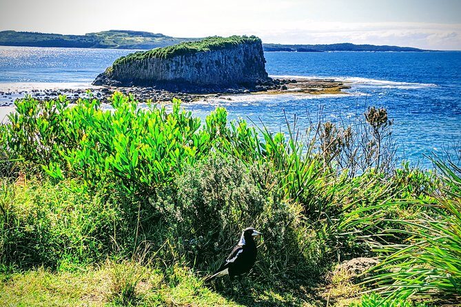 Erupting Blowholes and Ancient Rainforests SOUTH COAST OF SYDNEY PRIVATE TOUR - Who Is This Tour Best For?