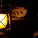Escape Room Experience Taupo - The Cursed Cabin - The Itinerary and Experience Breakdown