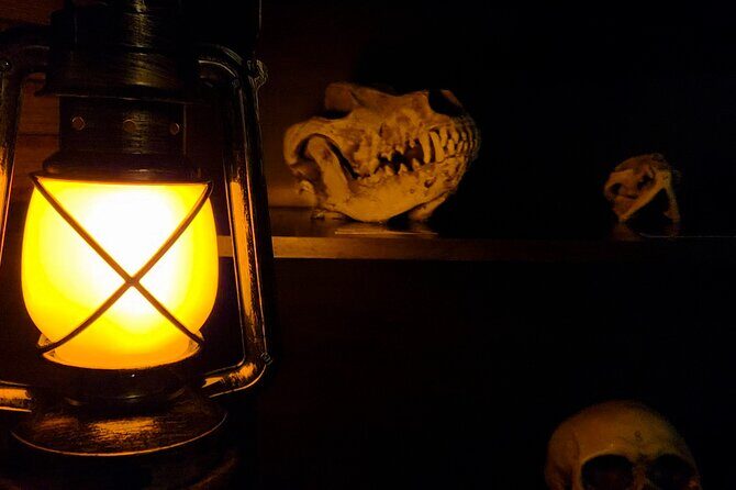Escape Room Experience Taupo - The Cursed Cabin - The Itinerary and Experience Breakdown