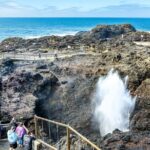 Escape Sydney: Sea Cliff Bridge, Wildlife, Kiama Coast Private - Overall Impressions and Real-World Insights