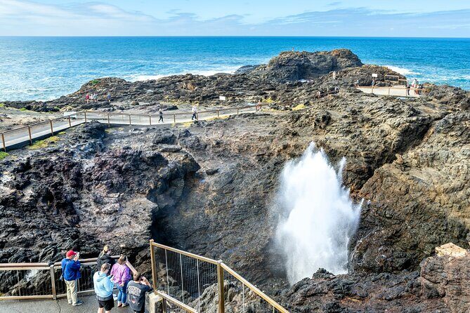 Escape Sydney: Sea Cliff Bridge, Wildlife, Kiama Coast Private - Overall Impressions and Real-World Insights