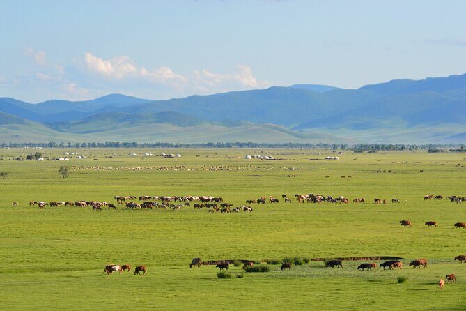 Essence of Mongolia 4 Days - The Value of This Tour
