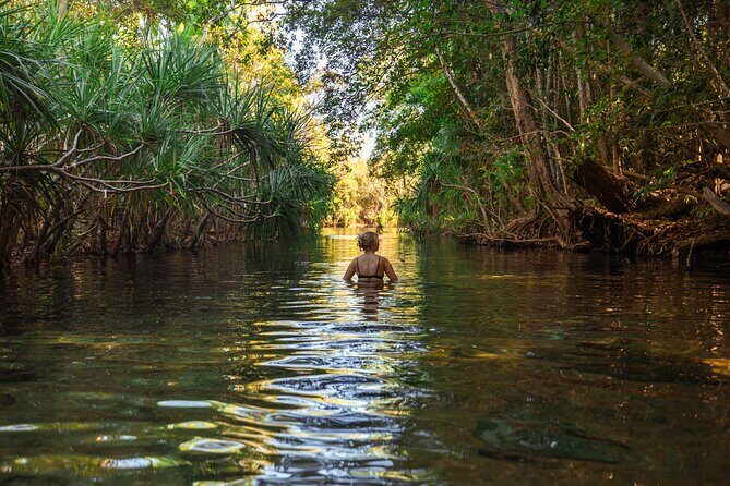 ETHICAL ADVENTURES - 1 Day premium Litchfield tour, Max 10 guests - The Itinerary: What You’ll See and Do