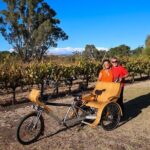 eTukTuk Adventure from Oxenberry Farm in McLaren Vale - Deep Dive into the Itinerary