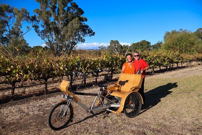 eTukTuk Adventure from Oxenberry Farm in McLaren Vale - Deep Dive into the Itinerary