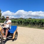 eTukTuk Adventure from Shirvington Wines - McLaren Vale - The Sum Up