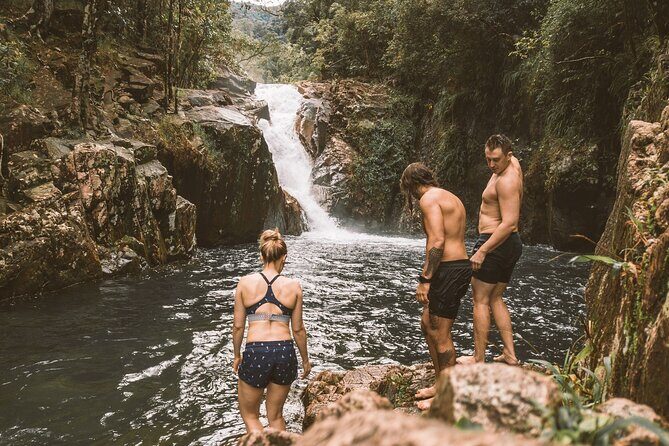 Eungella Platypus Tour - Final Thoughts: Is It Worth It?