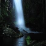 Evening Rainforest & Glow Worm Tour from Gold Coast - The Experience: What Makes It Stand Out?