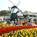 Everland Tour with Shuttle:Fast Panda World Entry(Ends 8/31) - The Transport and Logistics