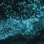 Ex Auckland Spellbound Glowworm & Cave Explorer Private Tour - Who Should Consider This Tour?