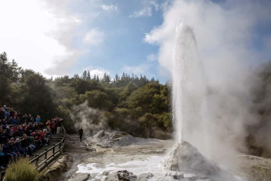 Ex Auckland: TRIPLE DEAL Wai-O-Tapu, Redwood & Blue Springs - Discovering the Highlights