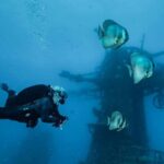 Ex- HMAS Swan Wreck Double Boat Dive - What Makes This Dive Stand Out?