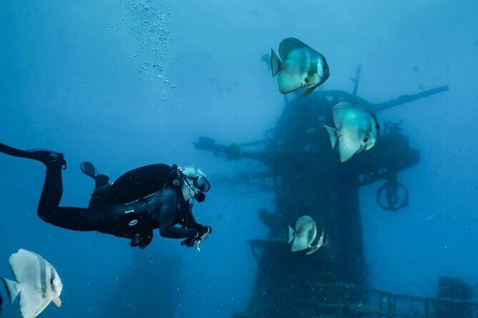 Ex- HMAS Swan Wreck Double Boat Dive - What Makes This Dive Stand Out?