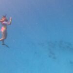 Exceptional Half Day on the Bora Bora Lagoon in Combo - Who Should Consider This Tour