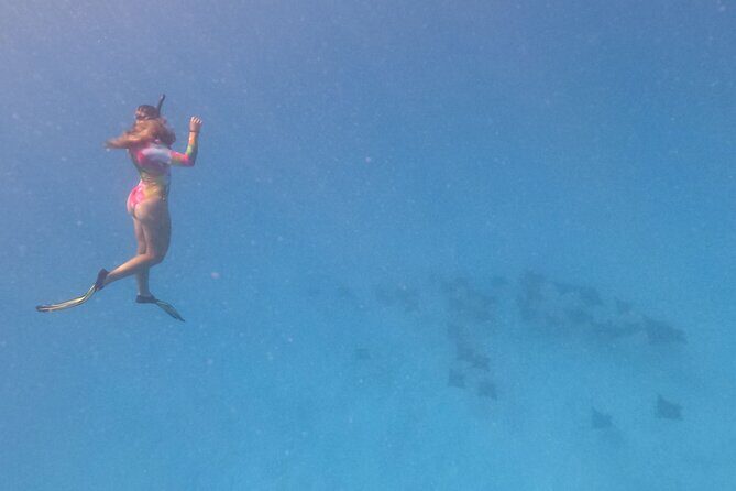 Exceptional Half Day on the Bora Bora Lagoon in Combo - Who Should Consider This Tour