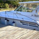 Exceptional whale watching in a Tahiti Yacht - What to Expect During the Tour