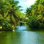 Exclusive, Backwater of Kerala & Houseboat Tour (06 Days) - The Full Experience: An In-Depth Review