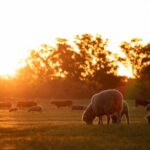 Exclusive Farm Experience - The Real Value of the Experience