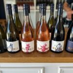 Exclusive Martinborough Wine Tour - What the Experience Means for You
