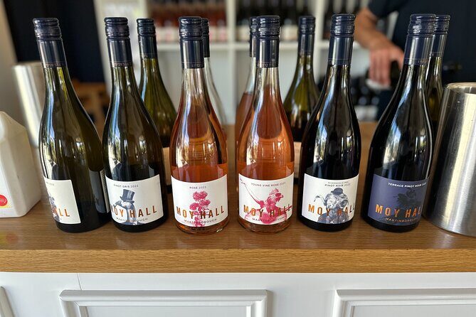 Exclusive Martinborough Wine Tour - What the Experience Means for You