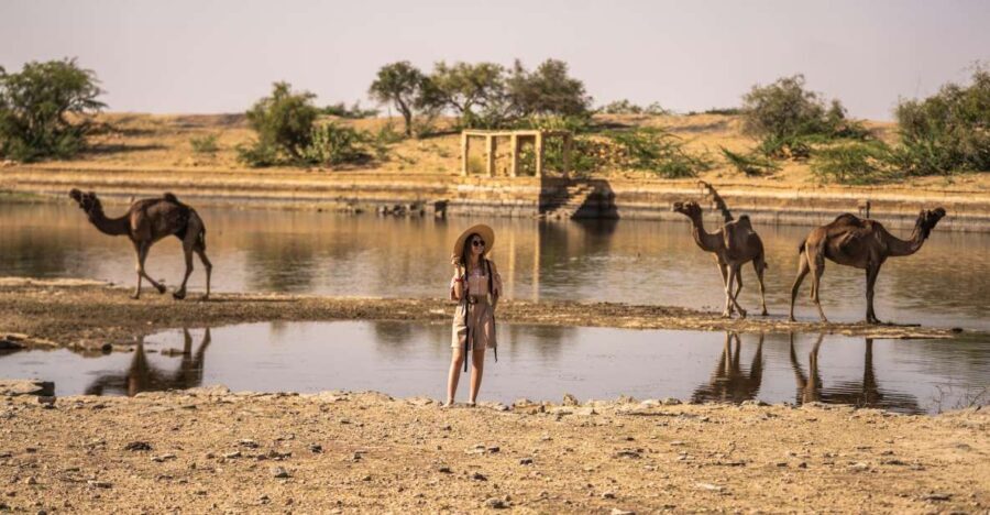 Exclusive Musical Evening at Desert Luxury Camp (NO CAMEL) - The Value of the Experience