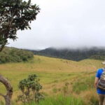 Exclusive Nuawara Eliya: Horton Plains and Tea Factory Tour - The Sum Up