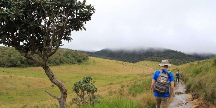 Exclusive Nuawara Eliya: Horton Plains and Tea Factory Tour - The Sum Up