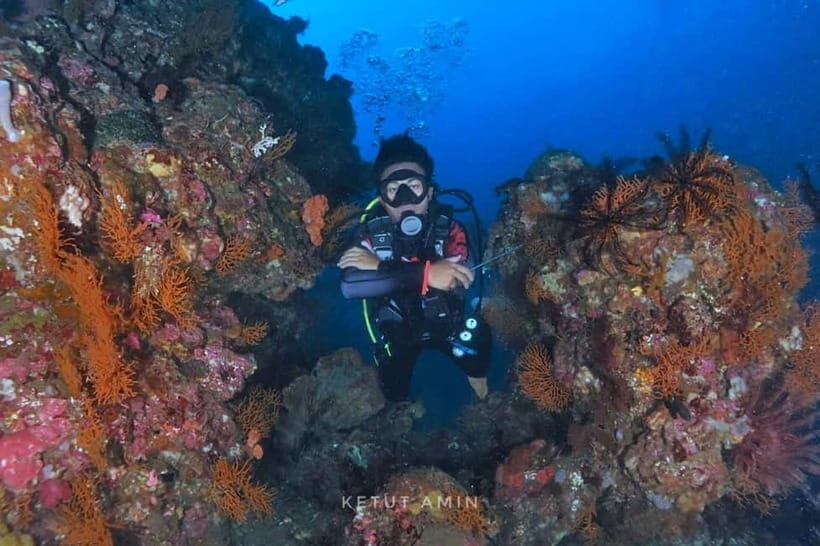 Exclusive private dive guide and underwater photography - Who benefits most from this experience?