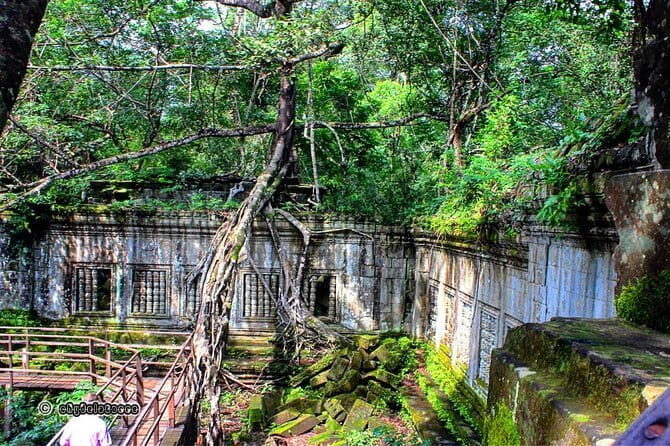 Excursion Koh Ker and Beng Mealea Temples Day Tour - What Makes This Tour Shine