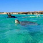Exmouth: Half Day Turtle Kayak & Snorkel Tour - What’s Included and What To Bring