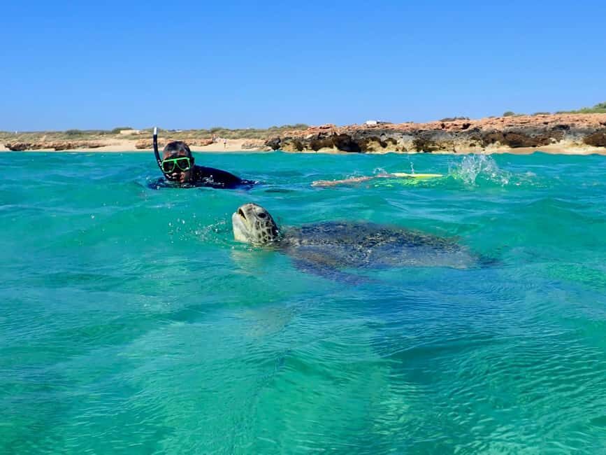 Exmouth: Half Day Turtle Kayak & Snorkel Tour - What’s Included and What To Bring