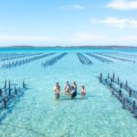 Experience Coffin Bay Oyster Farm and Bay Tour - Why We Think This Tour Works