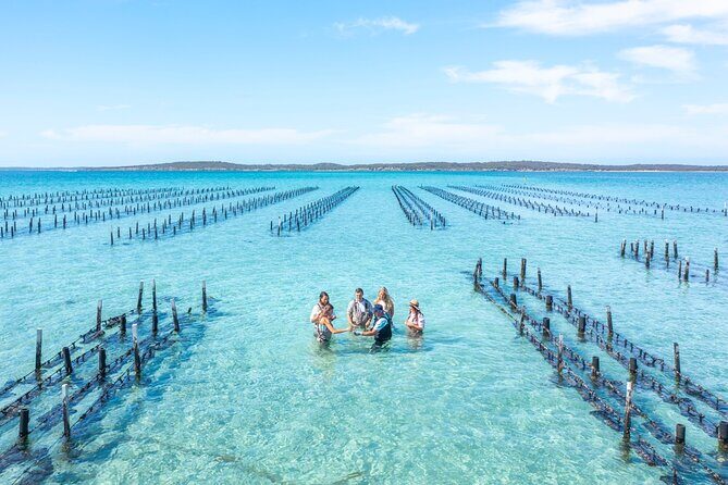Experience Coffin Bay Oyster Farm and Bay Tour - Why We Think This Tour Works