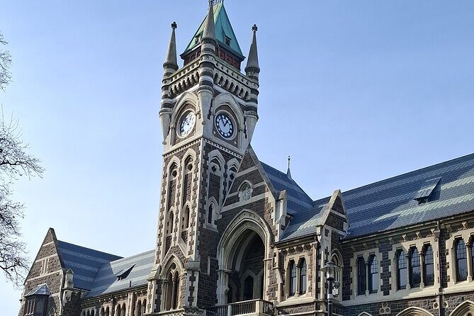 Experience Dunedin and Otago Peninsula Tours up to 8 people - Possible Drawbacks and Considerations