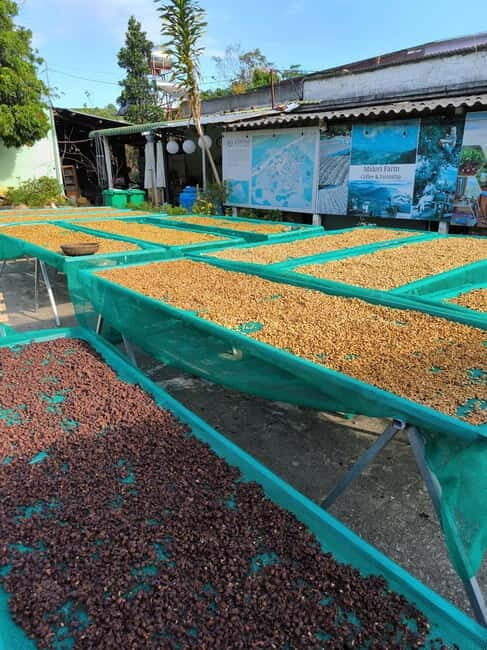Experience how to make coffee from a sustainable farm Dalat - Roasting Your Own Beans