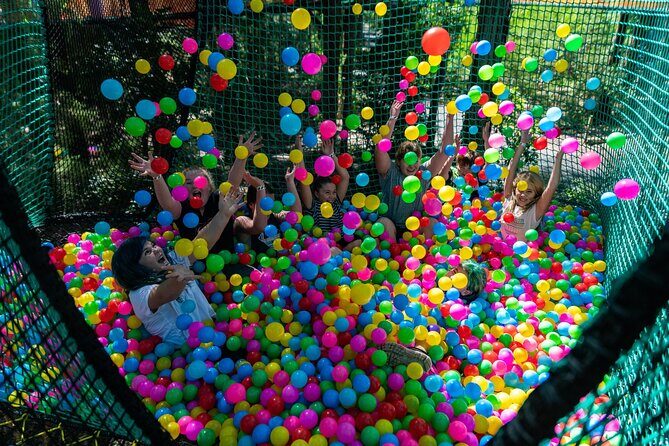 Experience Ourimbah State Forest Networld Adventure - Is This Tour Right for You?