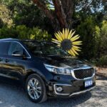 Experience SA Private Barossa Wine Tour- Pickup is in the Barossa - What You’ll Get in the Price