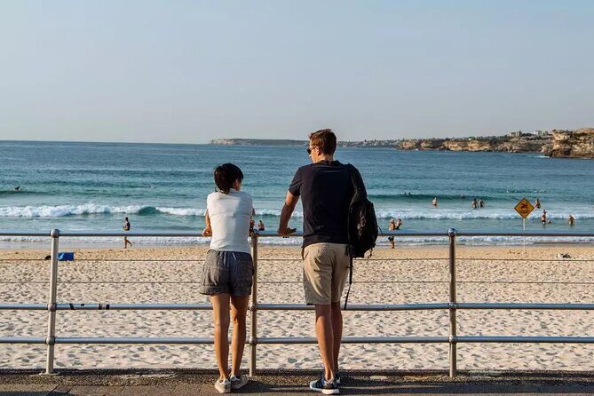 Experience Sydney's Best Beaches: Private Tour - Pricing and Value