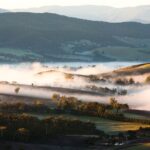 Experience Yarra Valley: A Tailored private Wine Journey - The Itinerary in Detail