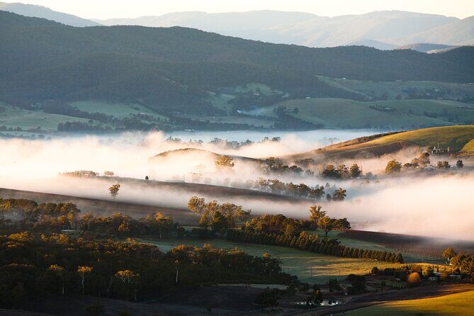 Experience Yarra Valley: A Tailored private Wine Journey - The Itinerary in Detail