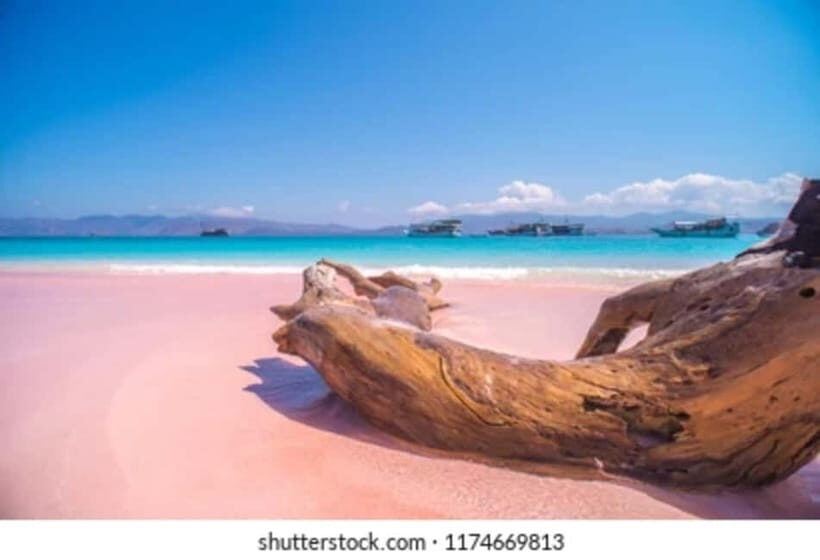 Explore 6 Favorite Destinations Labuan Bajo Include Tickets - Whats Included and What You Need to Know